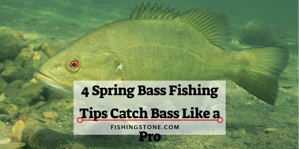 4 Spring Bass Fishing Tips Catch Bass Like a Pro - FishingStone
