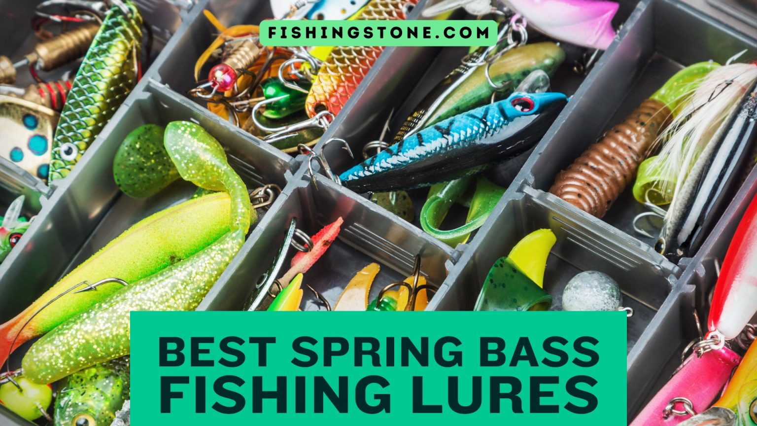 Spring Bass Fishing Lures to Catch Bass Fishing Stone