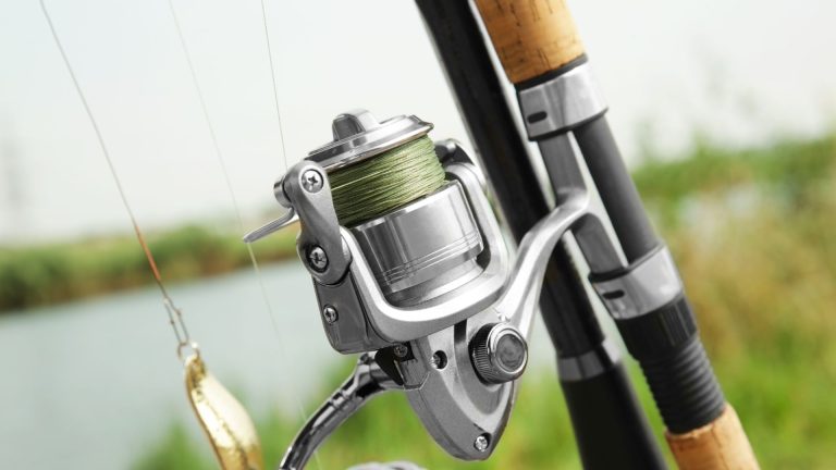 How Much Line to Put on a Spinning Reel Guide
